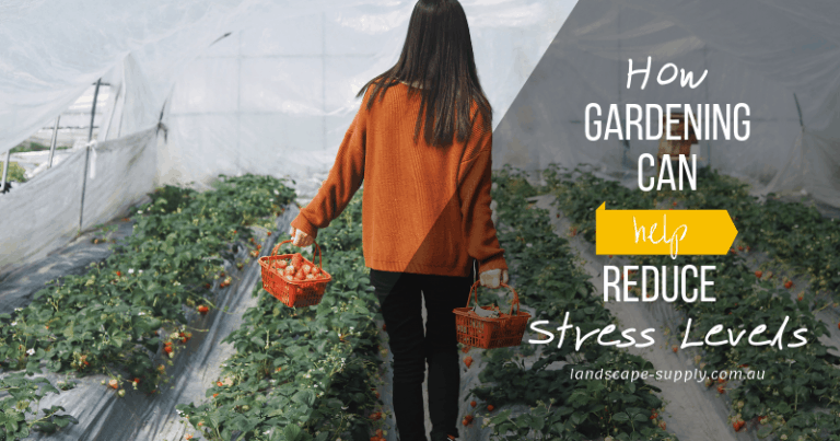 Soil Supply | How Gardening Can Help Reduce Stress Levels
