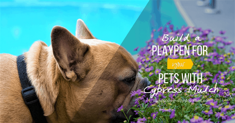 Cypress Mulch | Build a Playpen for your Pets With It
